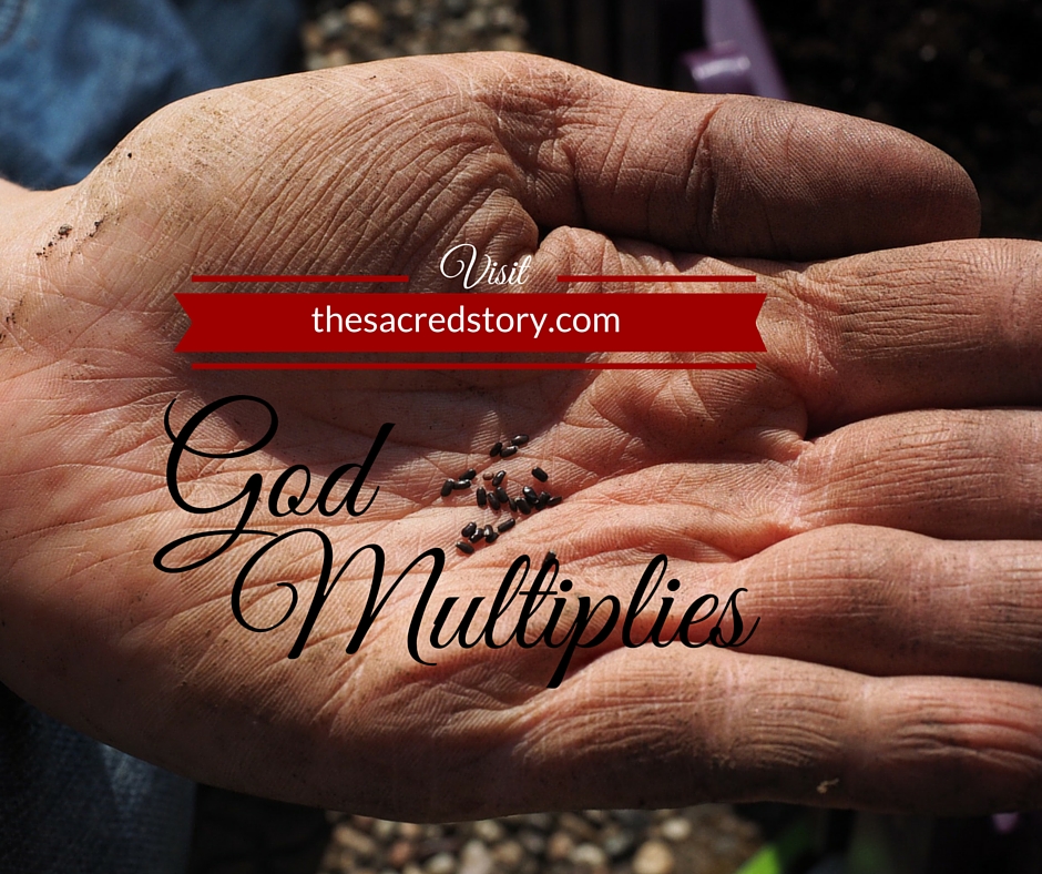 God Multiplies – The Sacred Story